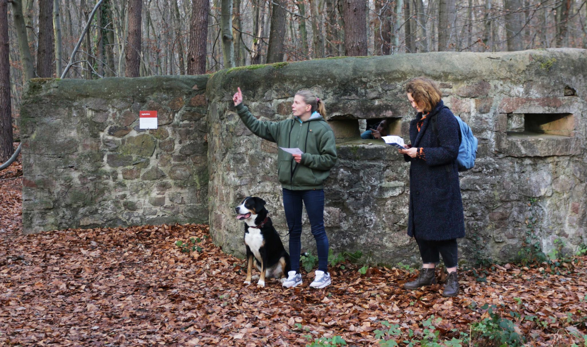 Museum und bioversum Jagdschloss Kranichstein öffnen wieder ihre Tore ...