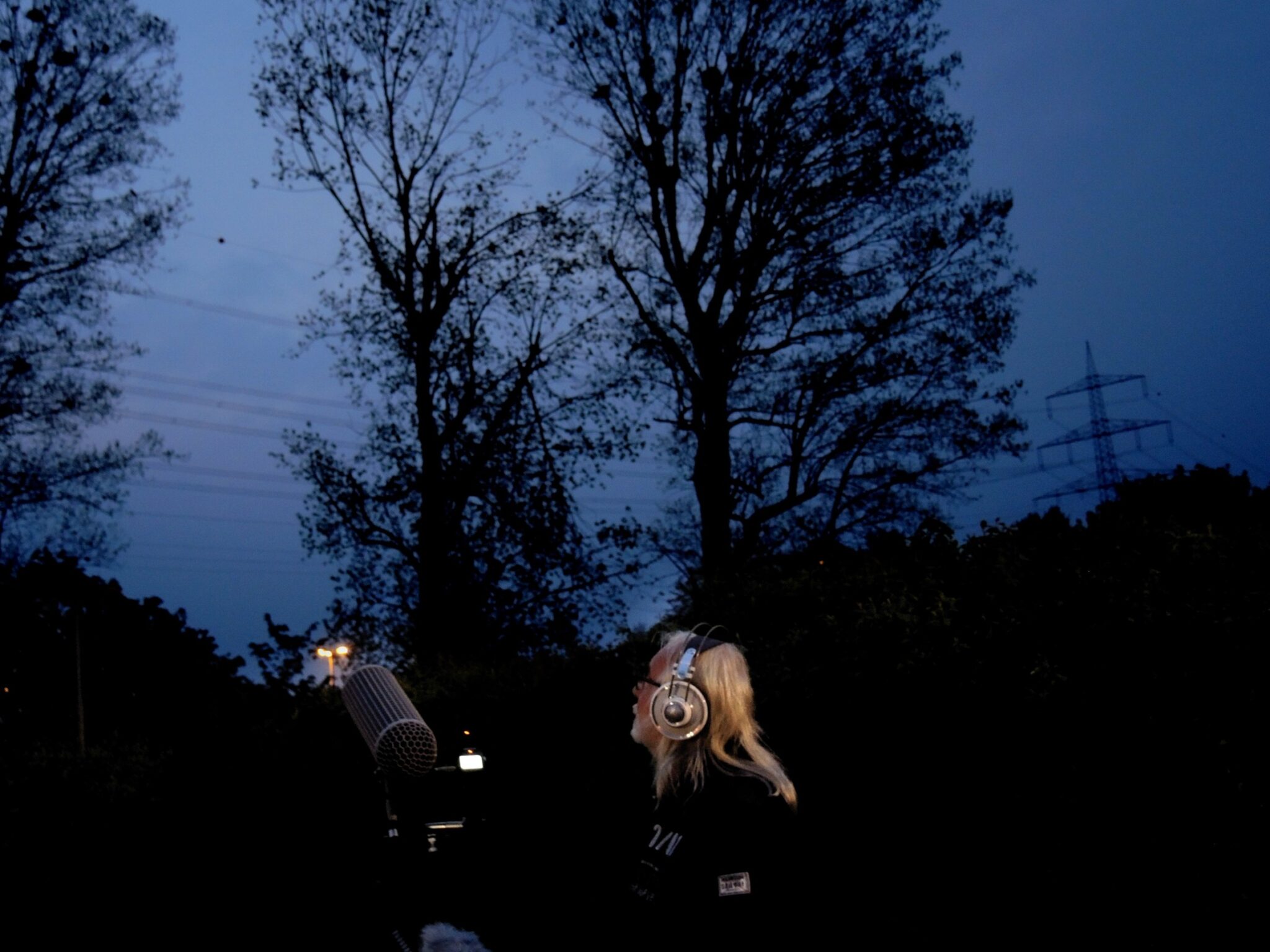 Rodgau Field - Ein akustisches Portrait der Stadt Rodgau - Rhein Main ...